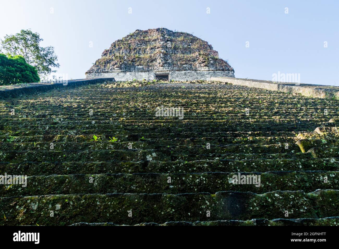 Stairway of Temple V at the archaeological site Tikal, Guatemala Stock ...