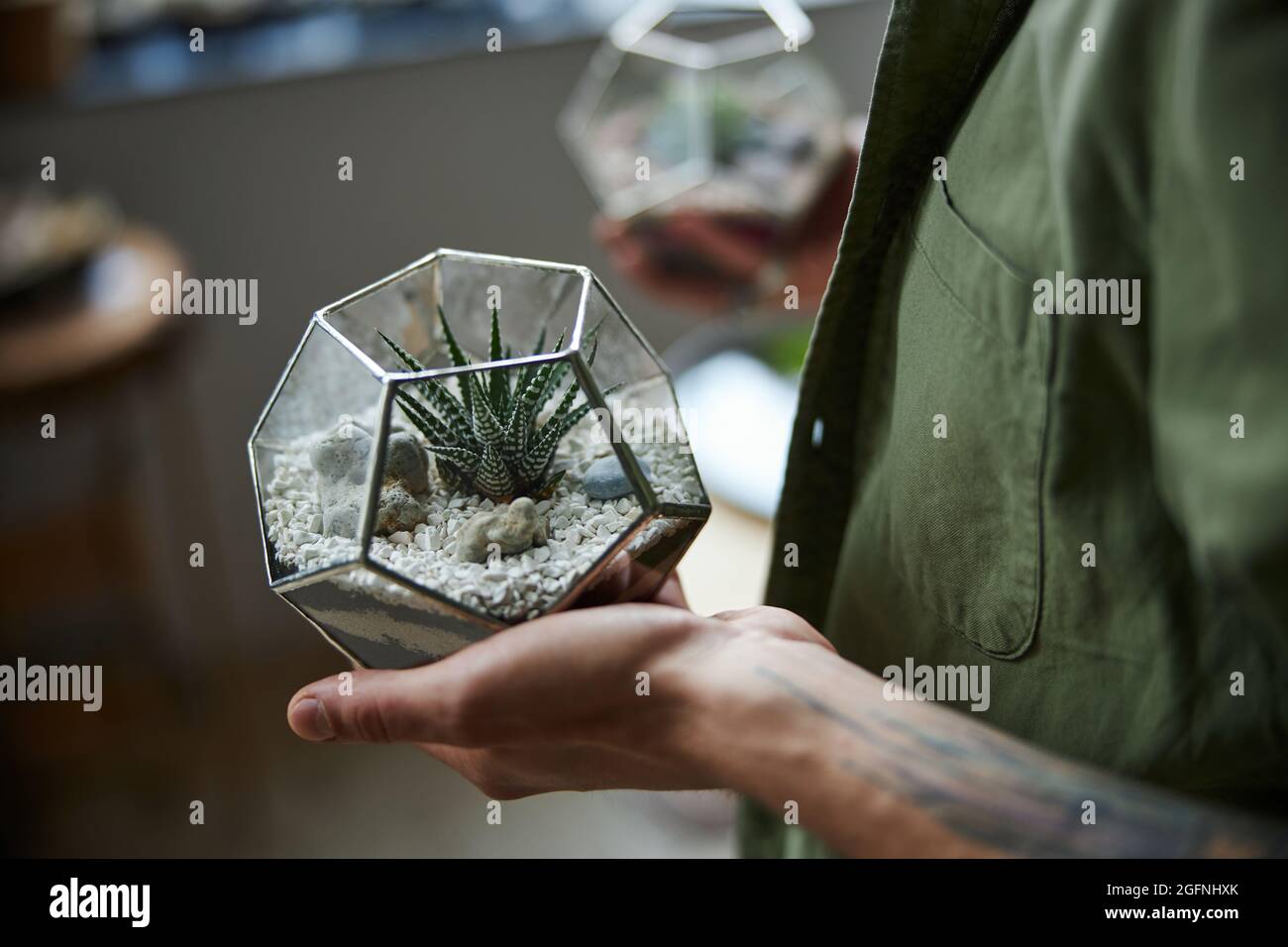 Male hand holding glass florarium with succulent plant Stock Photo - Alamy
