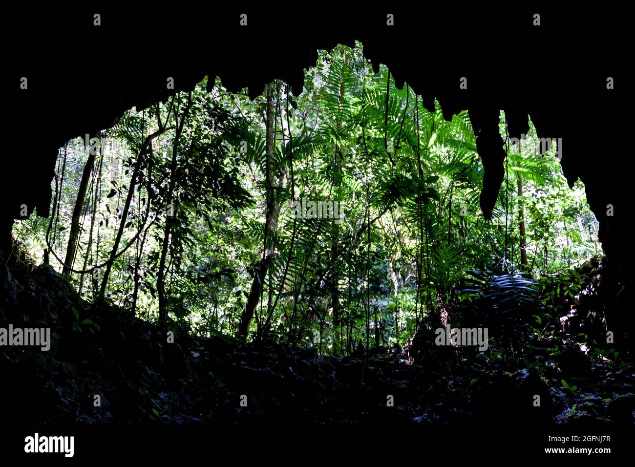 One of the caves of Cuevas de Candelaria cave complex, Guatemala Stock ...