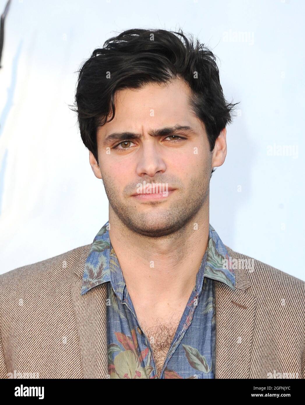 Matthew Daddario Delivery Man