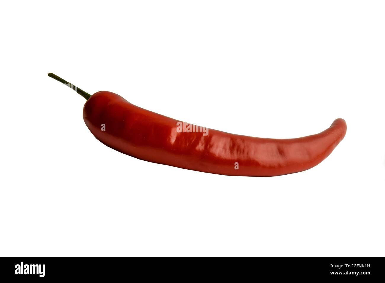 One fresh red pod of pepper close-up on a white background with a green ...