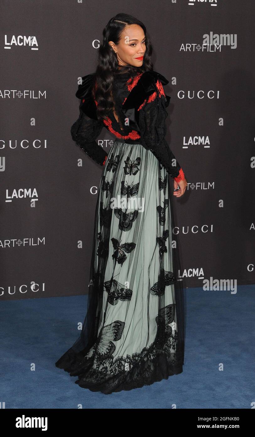 Los Angeles - CA - 11/02/2019 LACMA Art + Film Gala 2019 -PICTURED: Zoe Saldana Sara De Boer ...