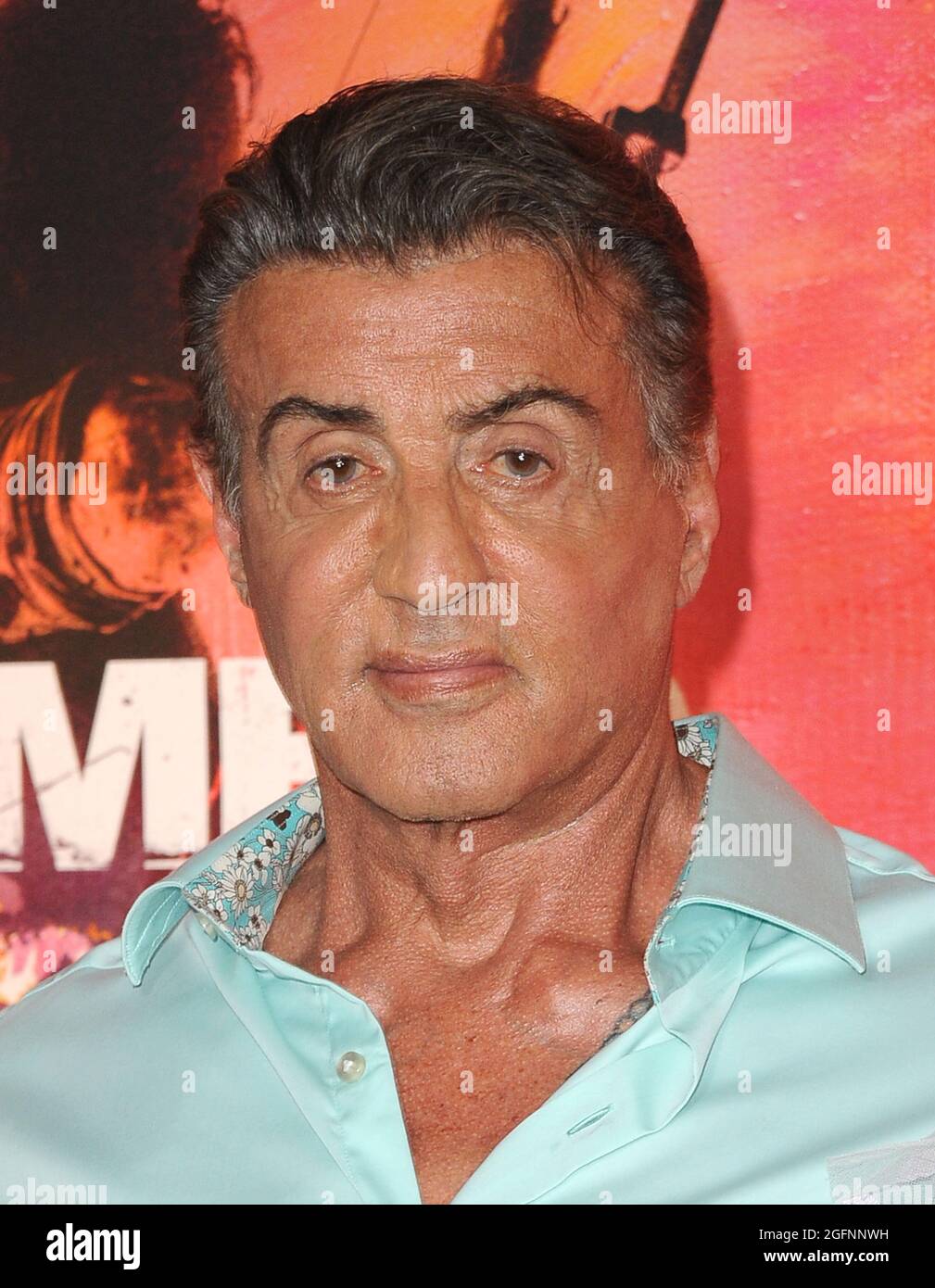 Beverly Hills - CA - 09/13/2019 Rambo: Last Blood Photo call -PICTURED ...