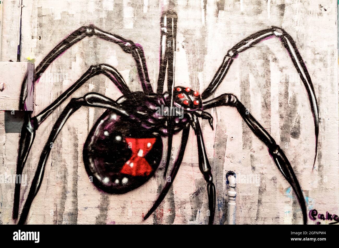 Spider Graffiti Waterloo Graffiti Tunnel London UK Stock Photo - Alamy