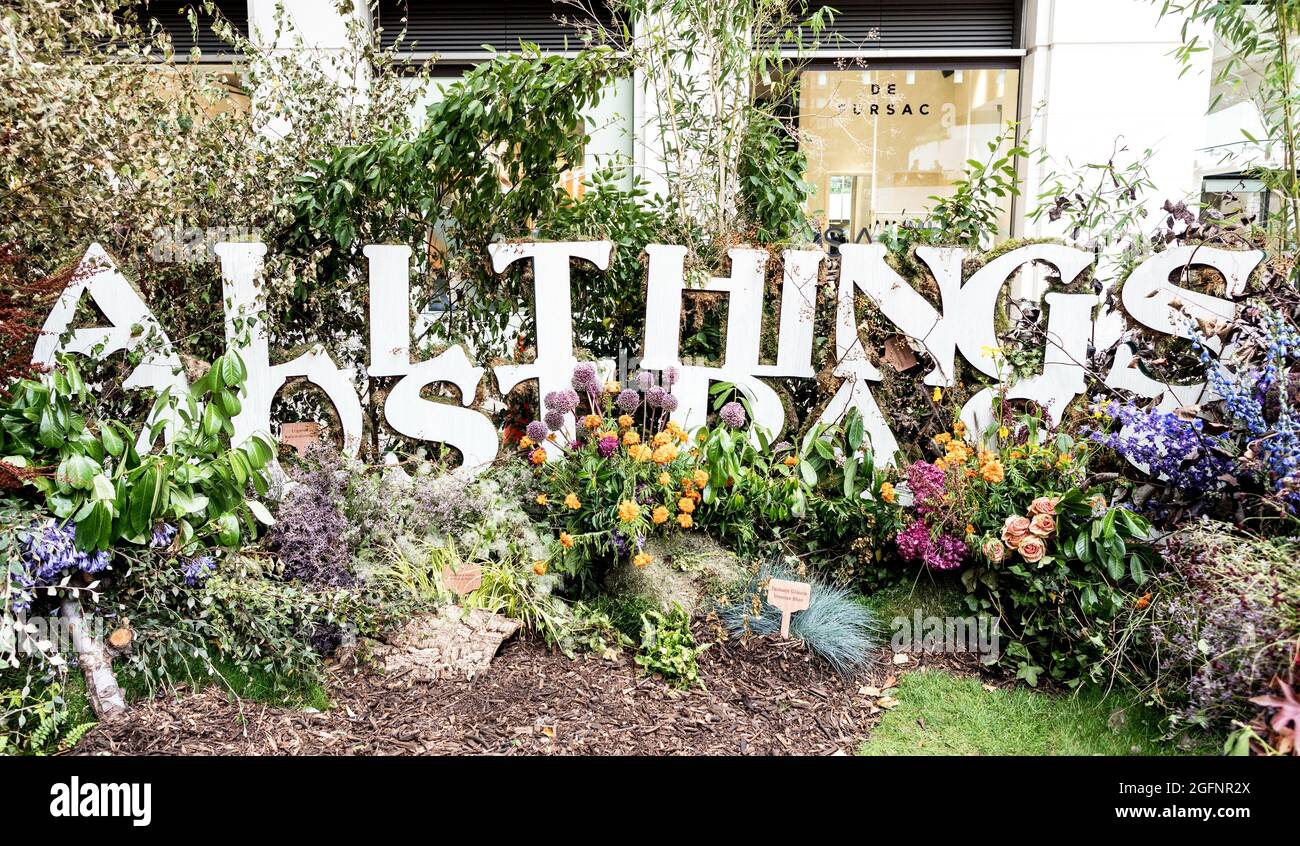 All Things Must Pass Street Display for George Harrisons Album Chelsea ...