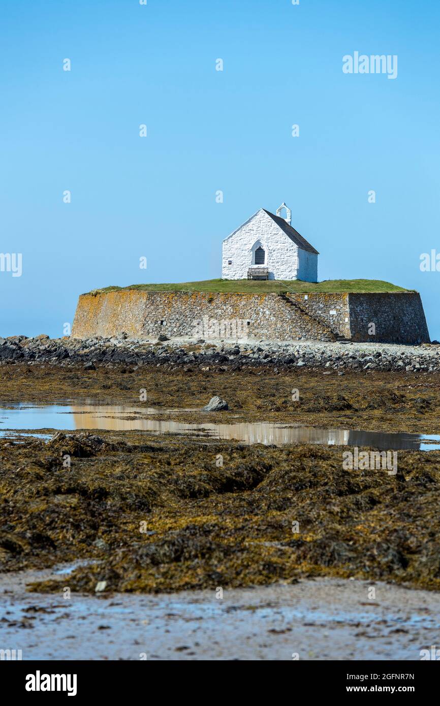 St Cwyfan's medieval church, Llangadwaladr, Anglesey, North Wales ...