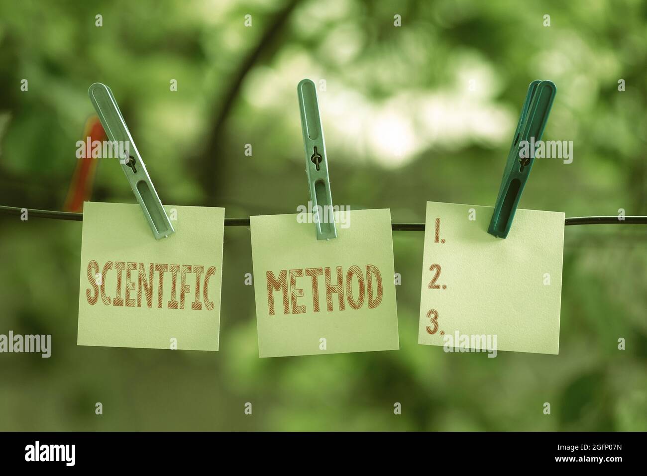 Sign displaying Scientific Method. Business overview method of ...