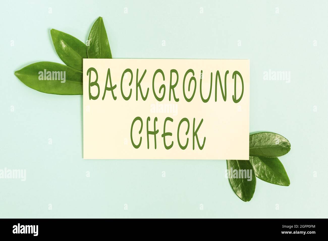 Hand writing sign Background Check. Business approach investigation ...
