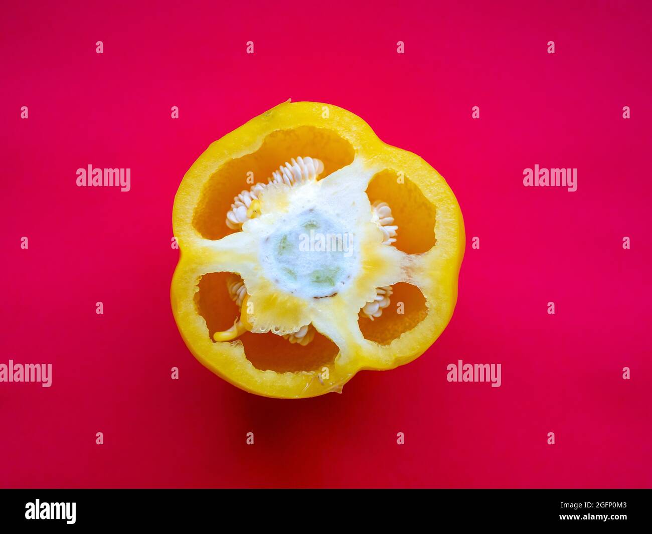 yellow pepper cross-section with visible seeds, on a red background ...