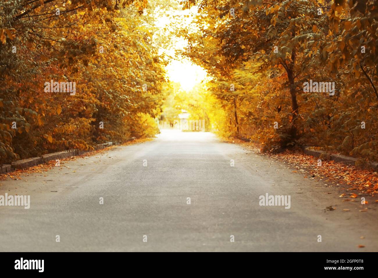 Beautiful landscape with road and trees Stock Photo - Alamy