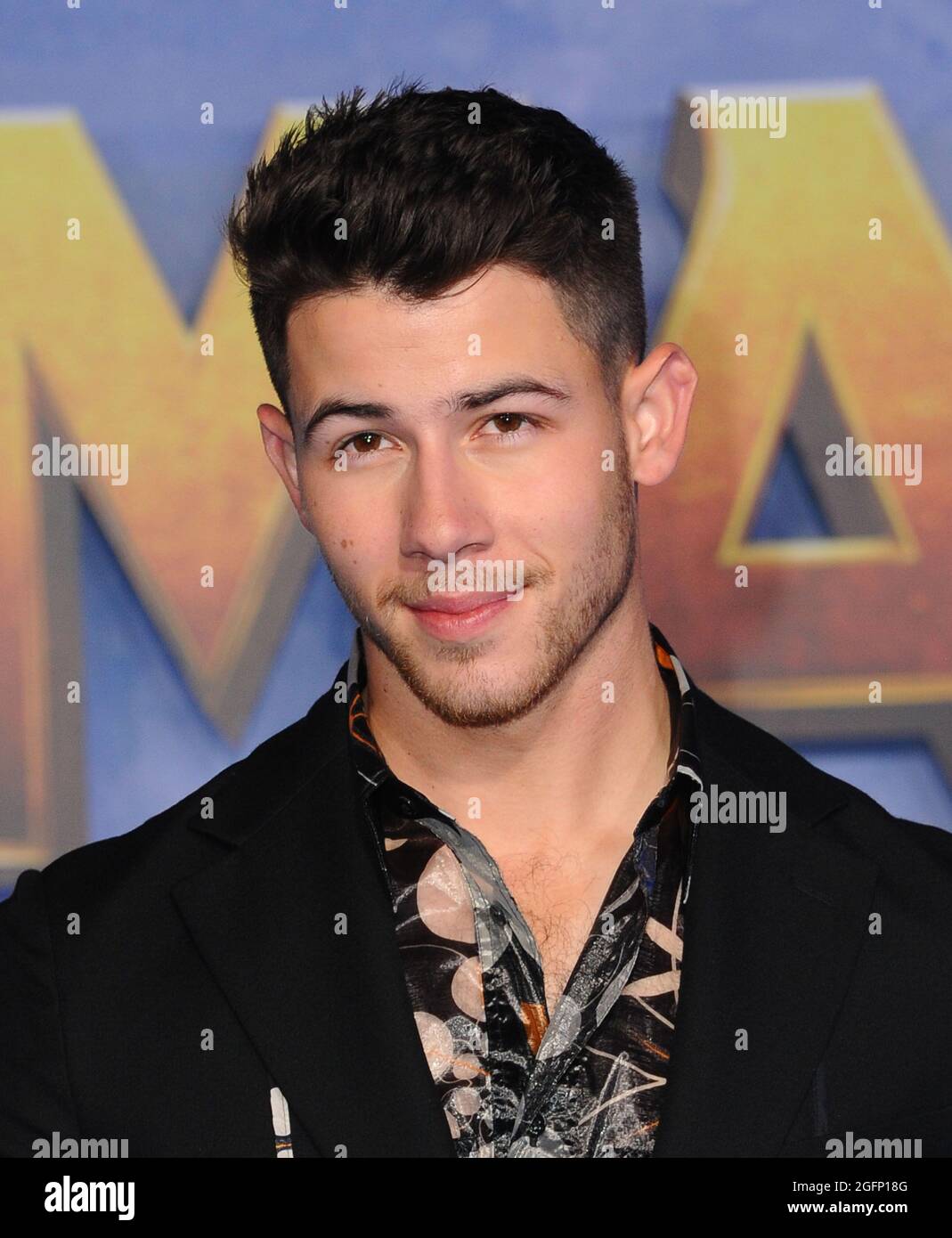 Los Angeles - CA - 12/09/2019 Jumanji Los Angeles Premiere -PICTURED ...