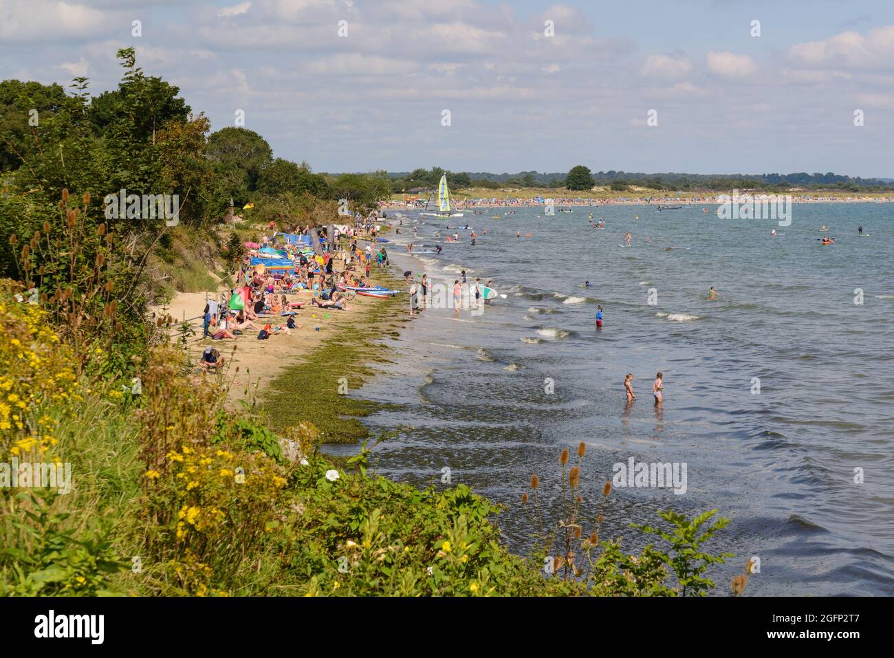 Knoll beach uk studland hi-res stock photography and images - Alamy