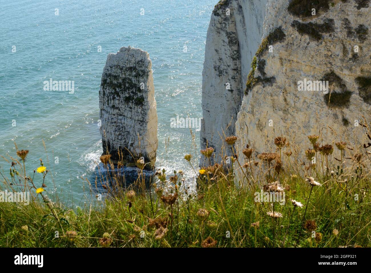 Chalk rock stack near Old Harry Rocks, Jurassic Coast, Purbeck, Dorset ...