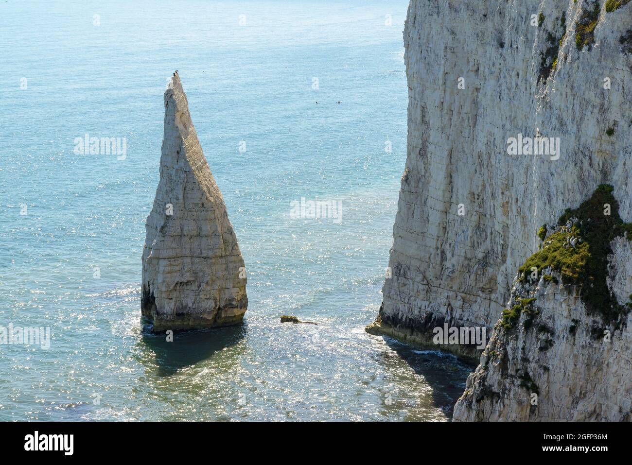 Pinnacle Stack near Old Harry rocks, Jurassic Coast, Purbeck, Dorset ...