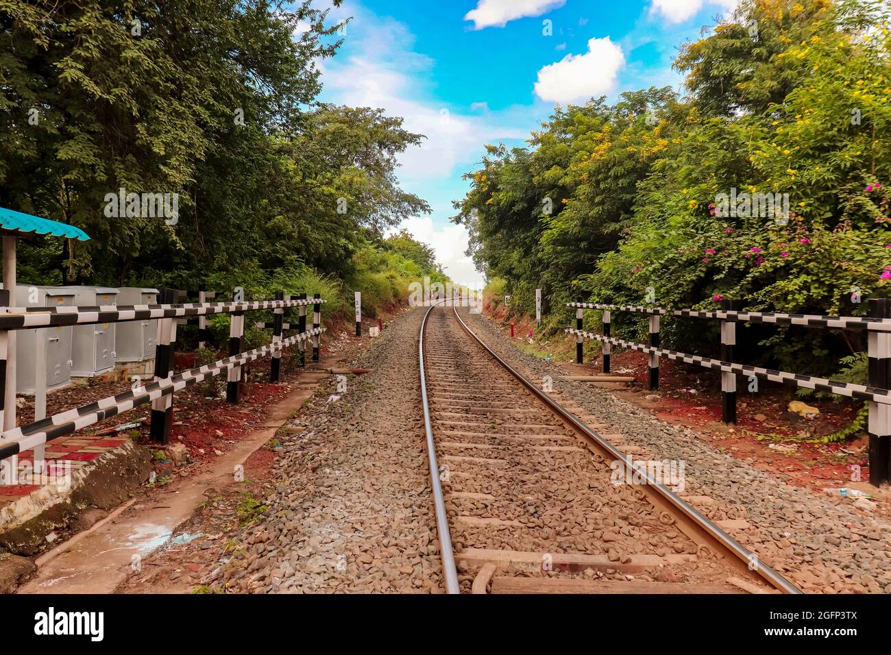 Railroad tracks through the forest in daylight Stock Photo - Alamy