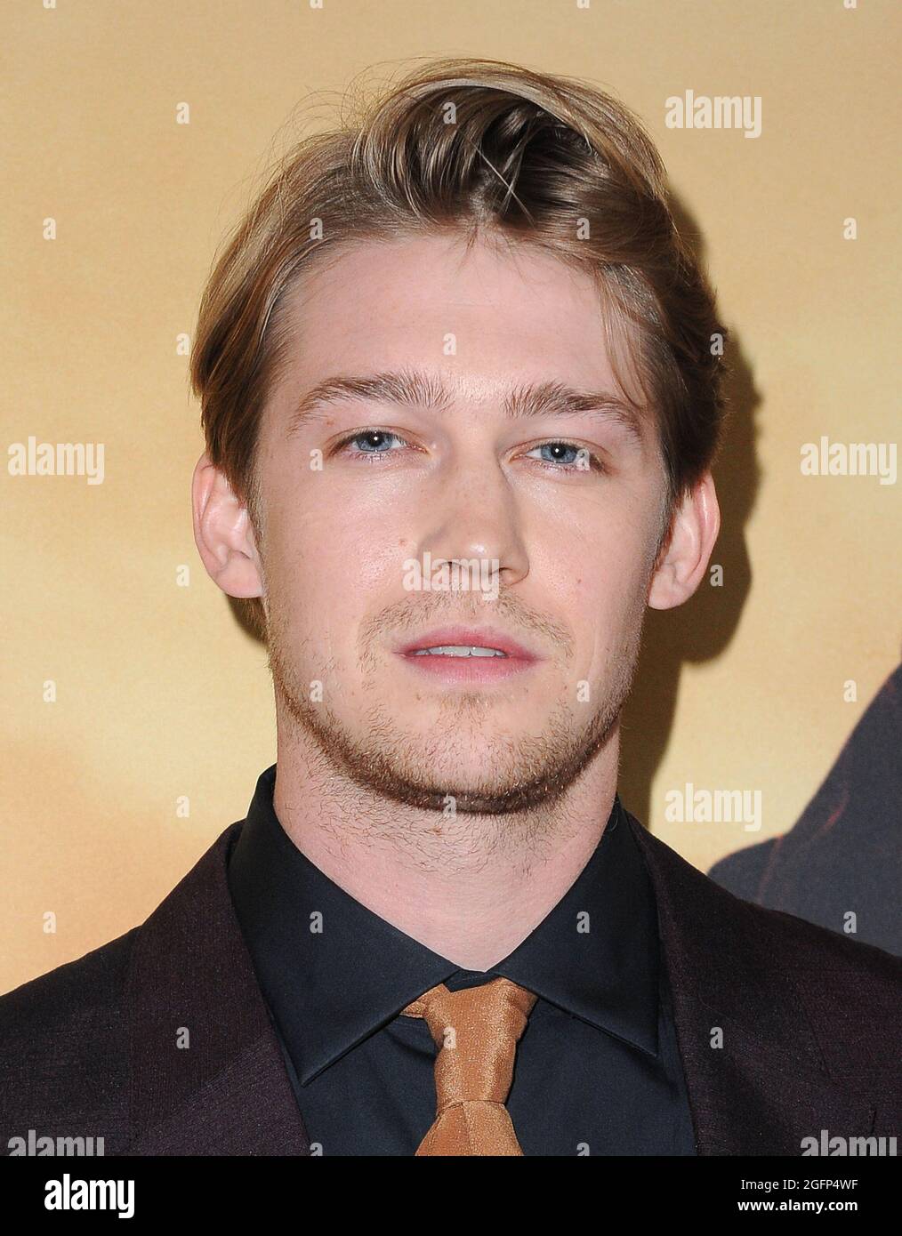 Los Angeles - CA - 10/29/2019 Harriet Los Angeles Premiere -PICTURED: Joe Alwyn Sara De Boer ...
