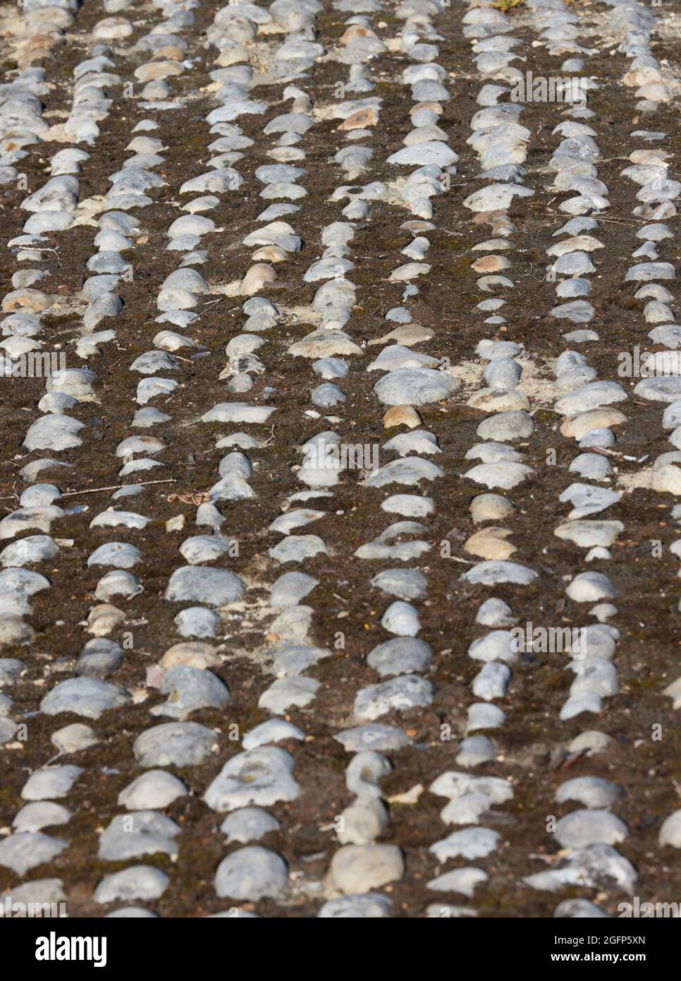Path made from stone cobbles hi-res stock photography and images - Alamy