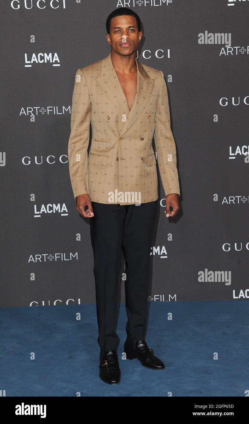 Los Angeles - CA - 11/02/2019 LACMA Art + Film Gala 2019 -PICTURED ...