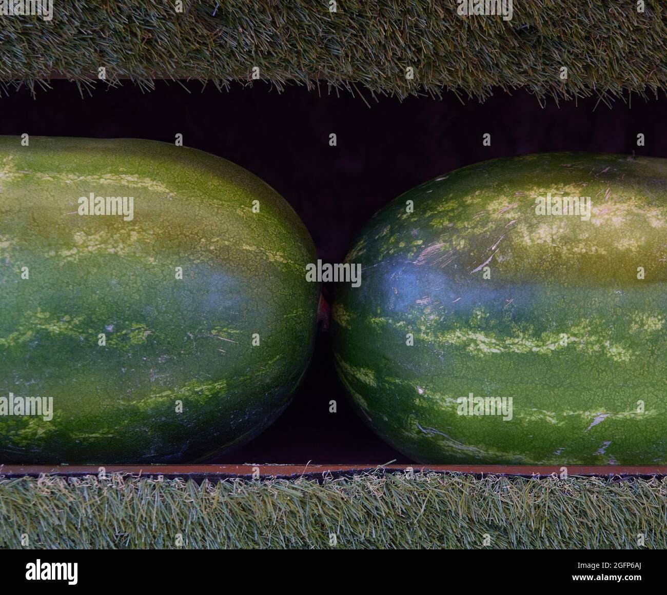 Melon shapes hi-res stock photography and images - Alamy