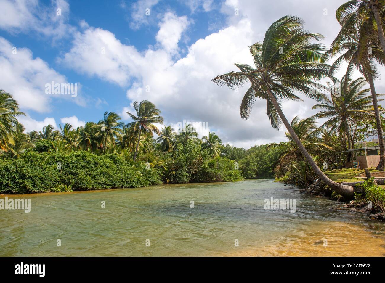 Island of puerto rico hi-res stock photography and images - Alamy