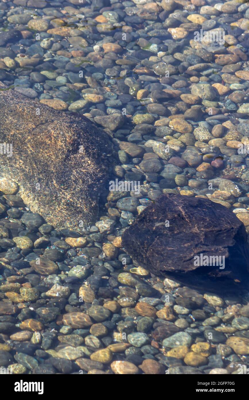 rocks of various sizes and colors under shallow water in the northwest ...