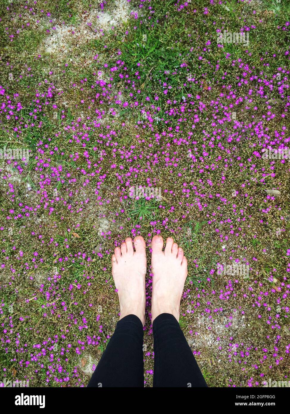Top view of female feet on flower ground Stock Photo - Alamy