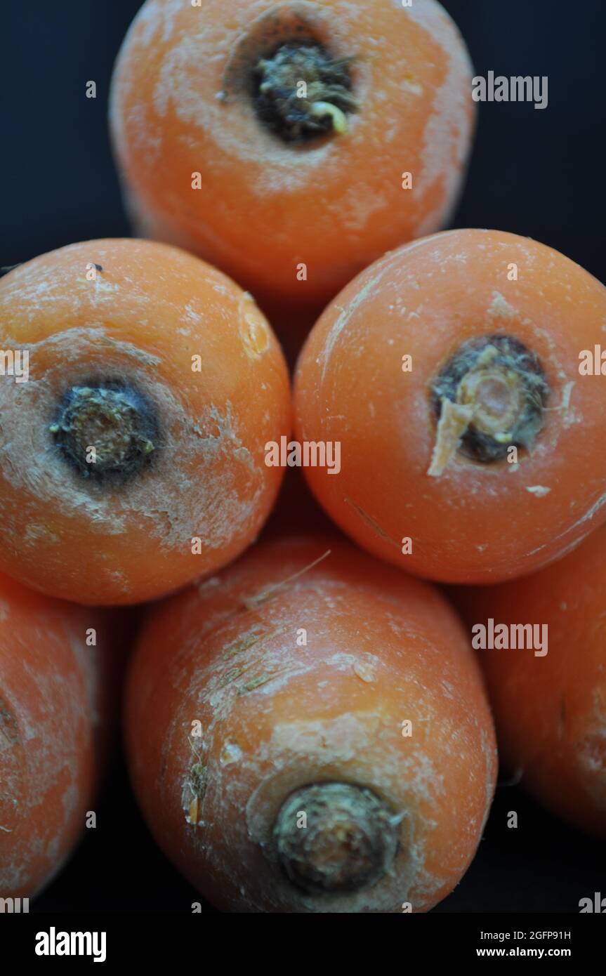 Fleshly conical tap root hi-res stock photography and images - Alamy