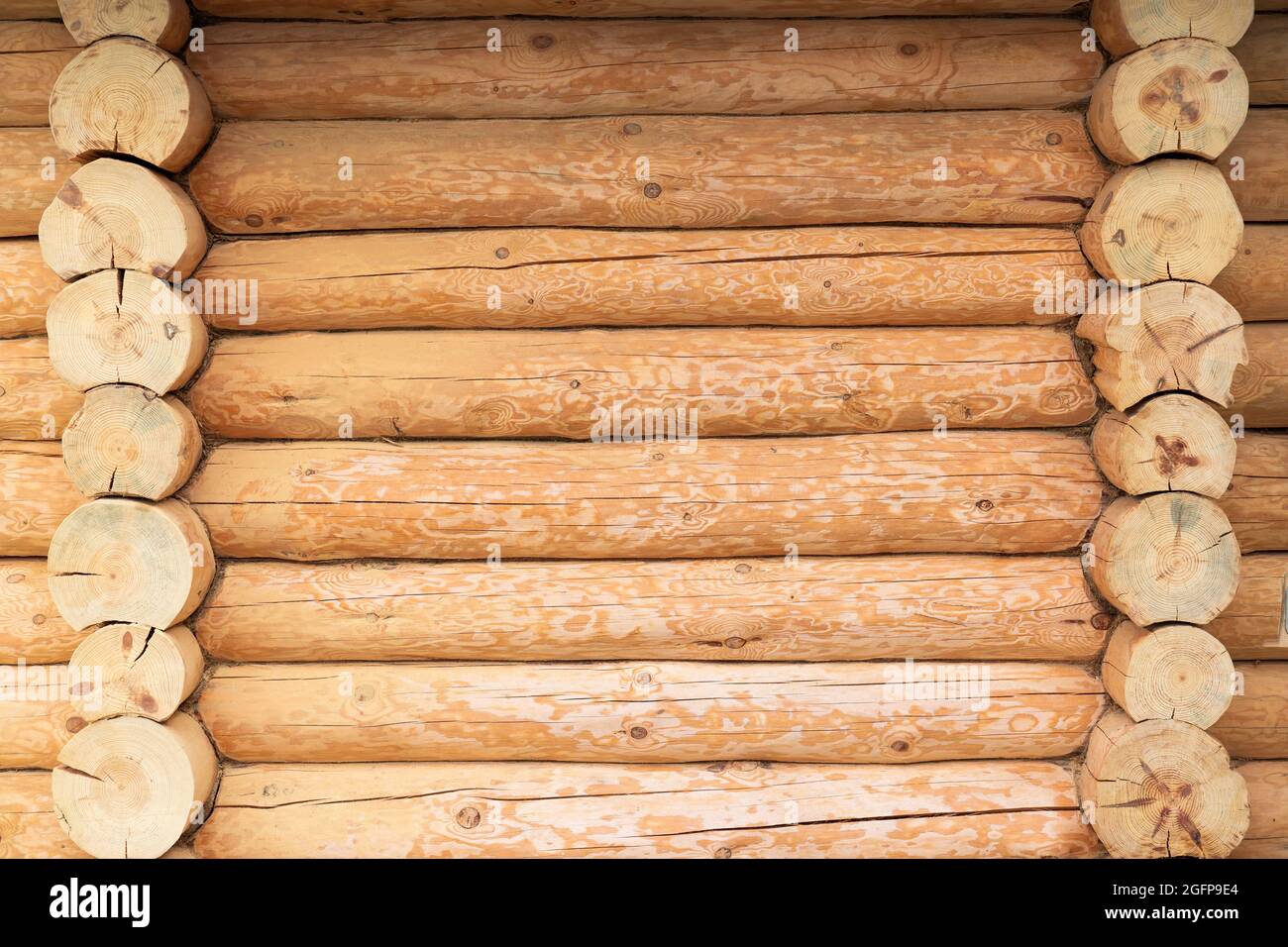 House wall in the village. Russian masonry of logs in the southern ...