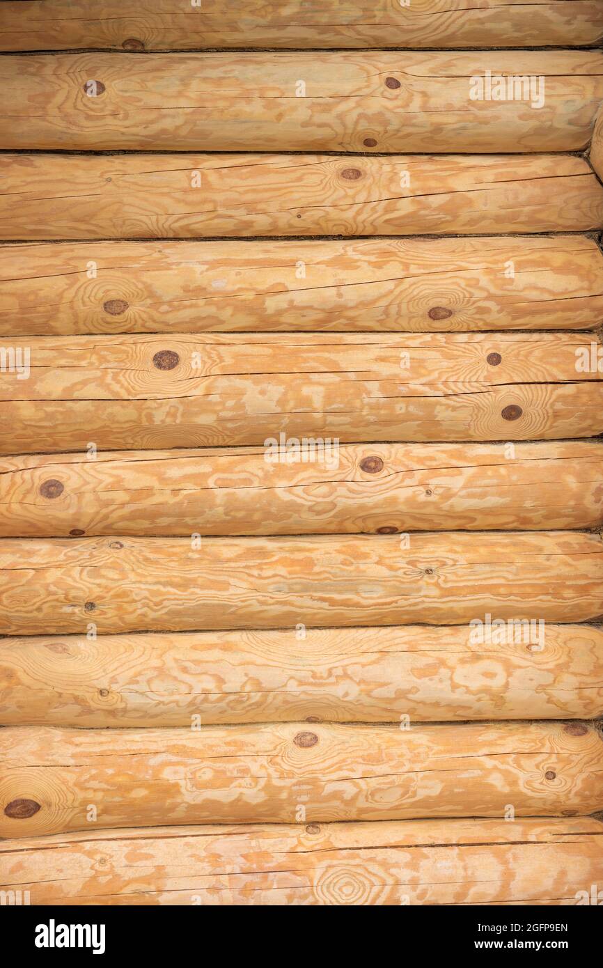 House wall in the village. Russian masonry of logs in the southern ...