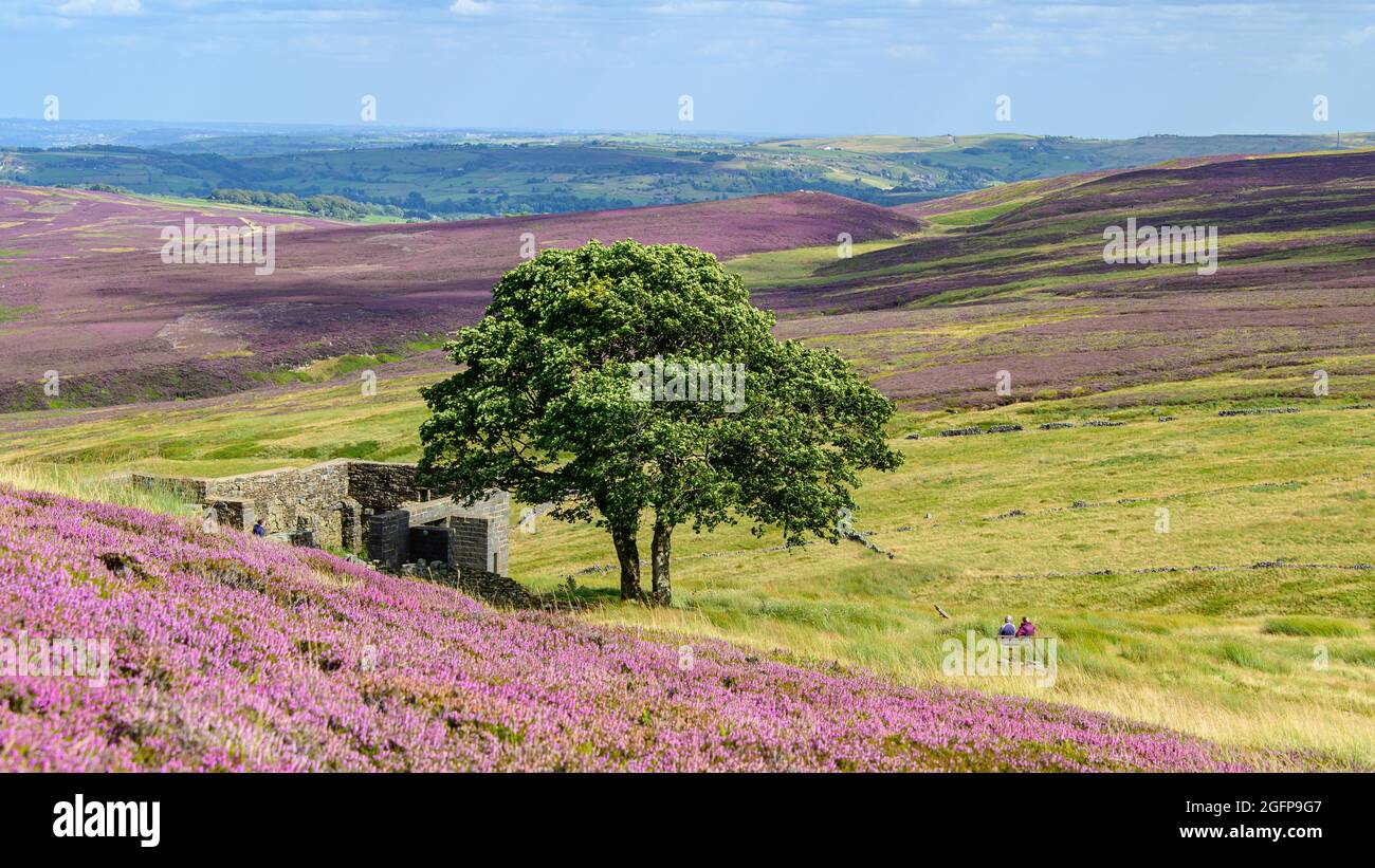 Haworth pennine moors hi-res stock photography and images - Alamy