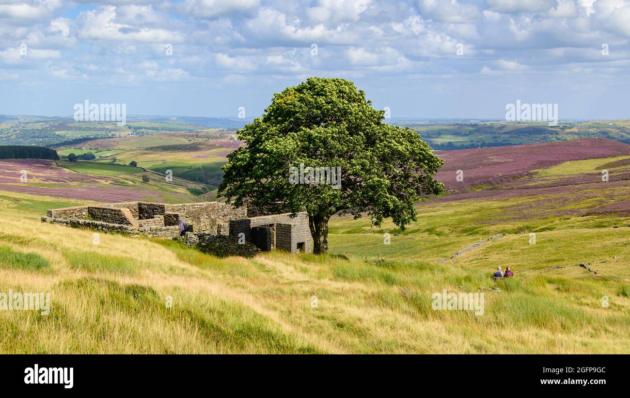 Top Withens on the beautiful moors above Haworth Stock Photo - Alamy