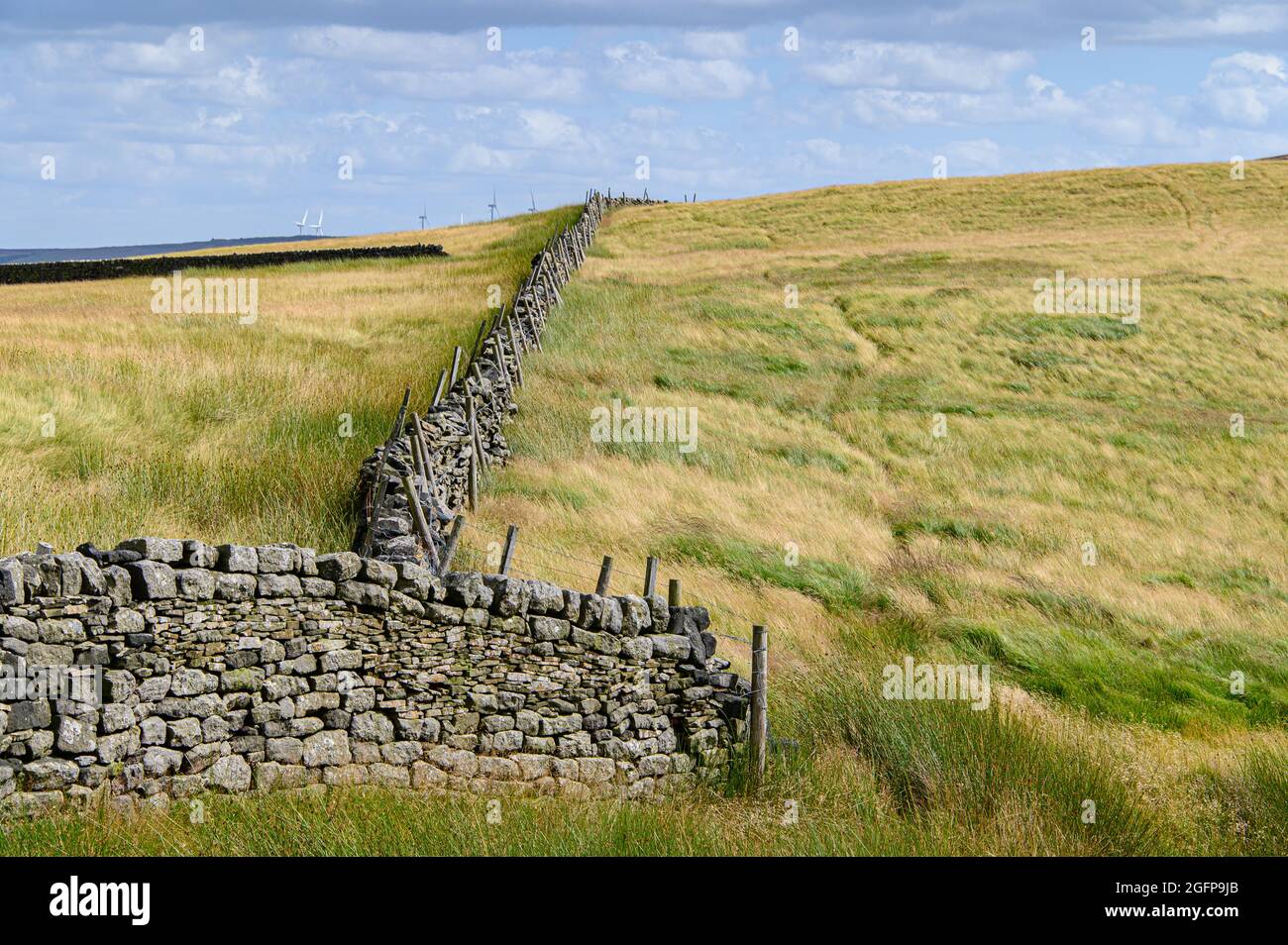 Dry stone wall on the moors Stock Photo - Alamy