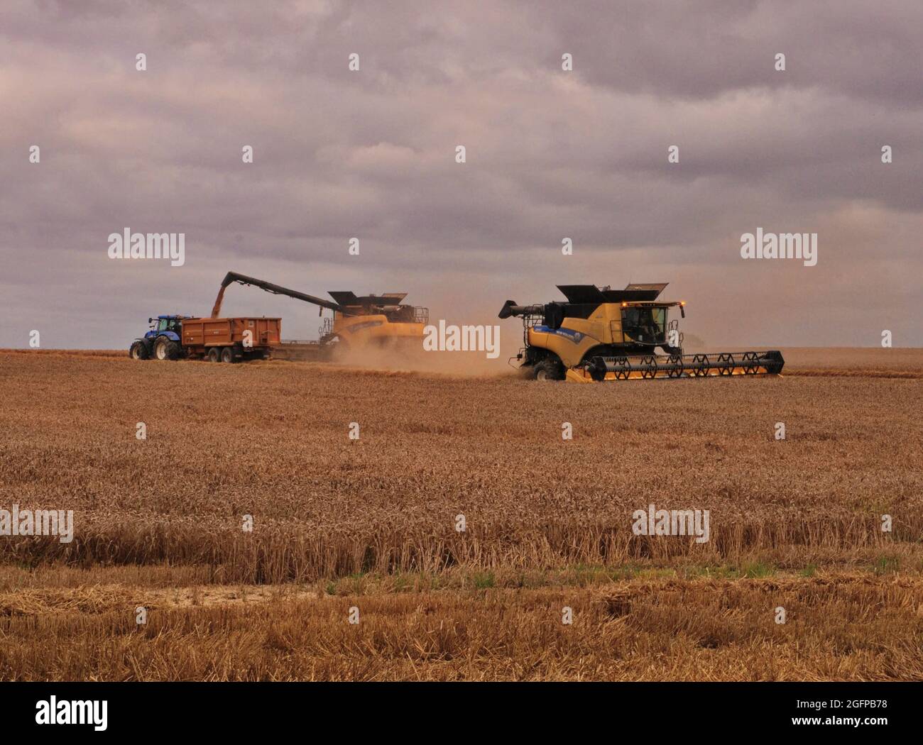 Combine Harvester Cutting Field of Wheat Stock Photo - Alamy