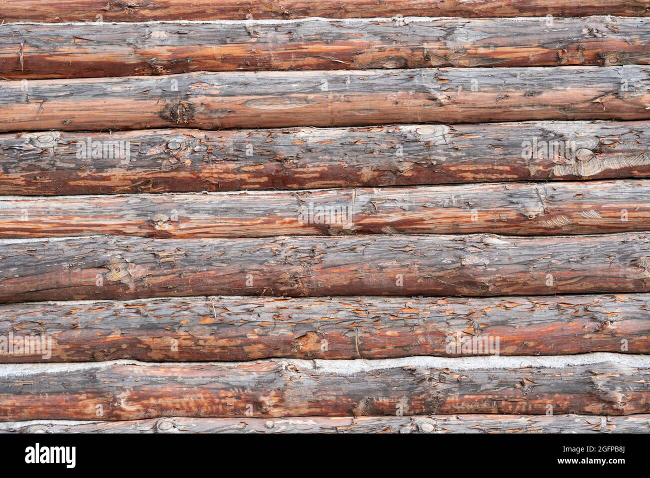 House wall in the village. Russian masonry of logs in the southern ...