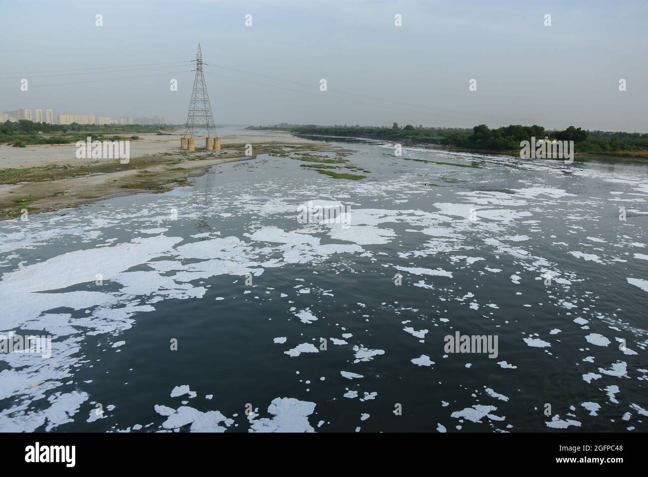 The heavily polluted waters of Yamuna River with a thick white layer of ...