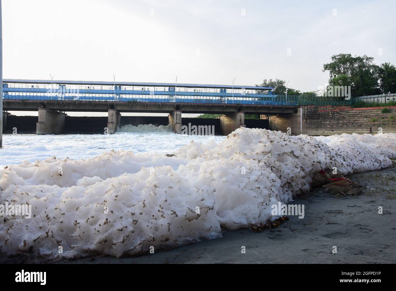 New Delhi, India. 26th Aug, 2021. The heavily polluted waters of Yamuna ...
