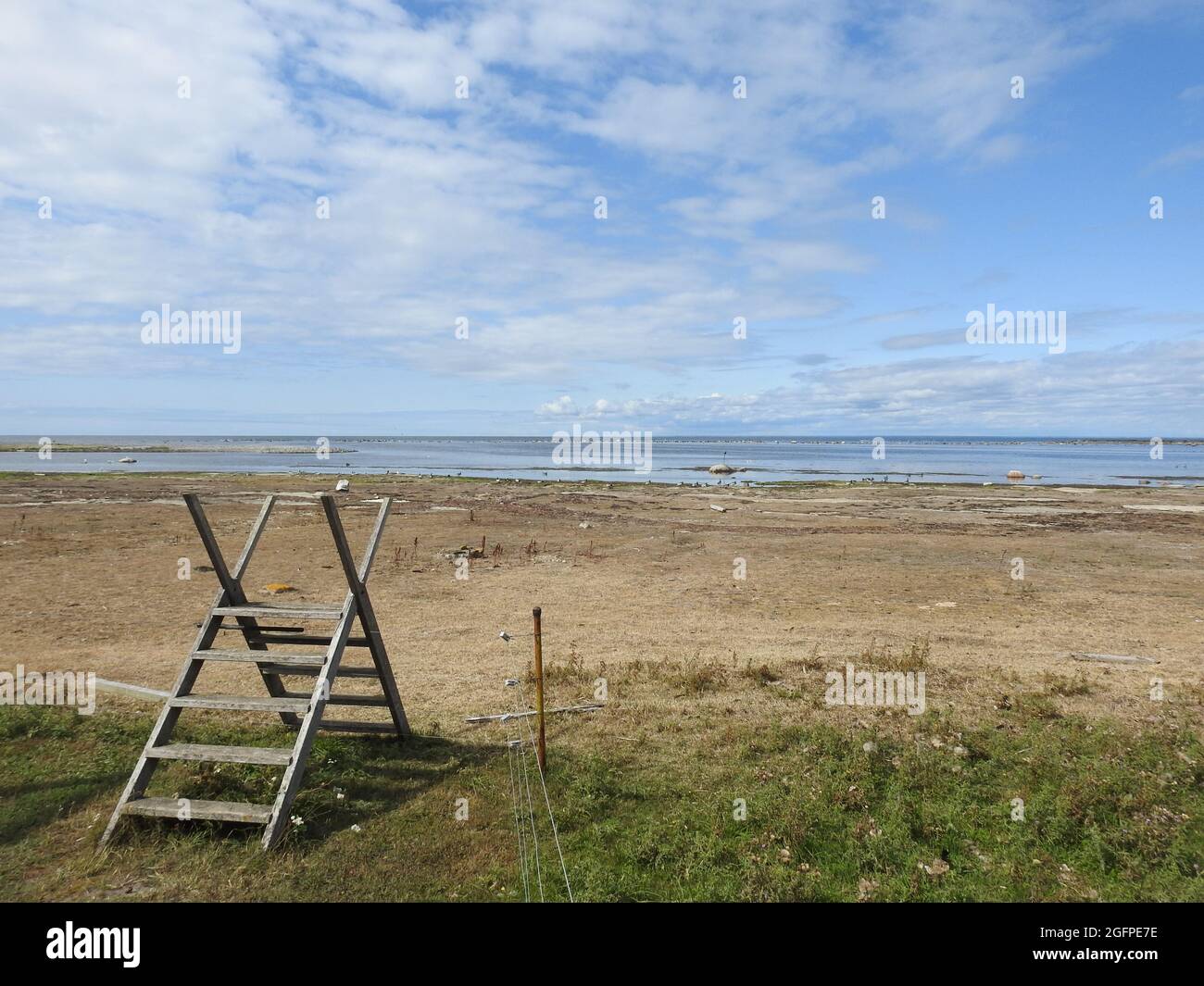 Wooden ladder on a landscape on a gloomy day in Oland, Sweden Stock ...