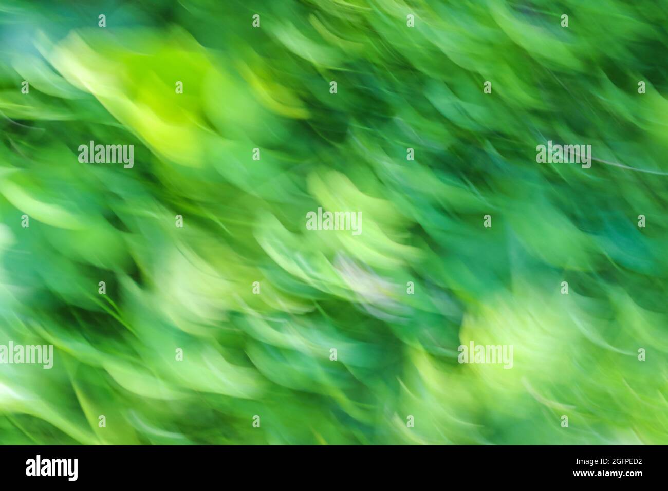 Bright green abstract, blurred background for design Stock Photo - Alamy