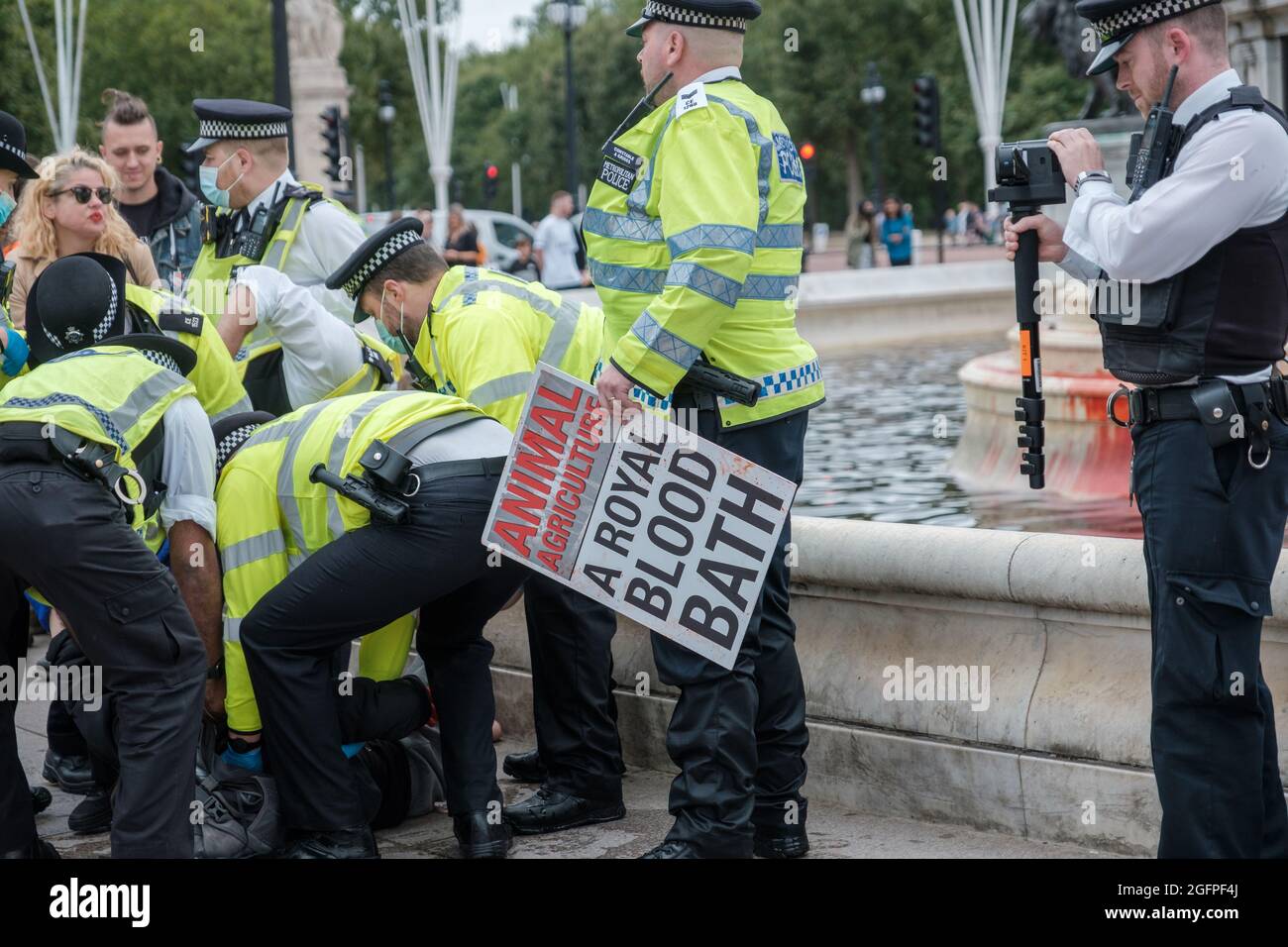 A large crowd of XR turnout at Hyde Park corner and march themselves to ...