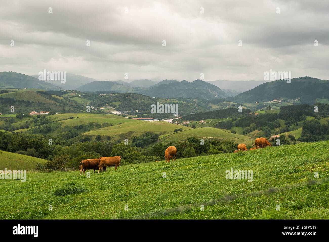 farms in a valley in the basque country Stock Photo - Alamy