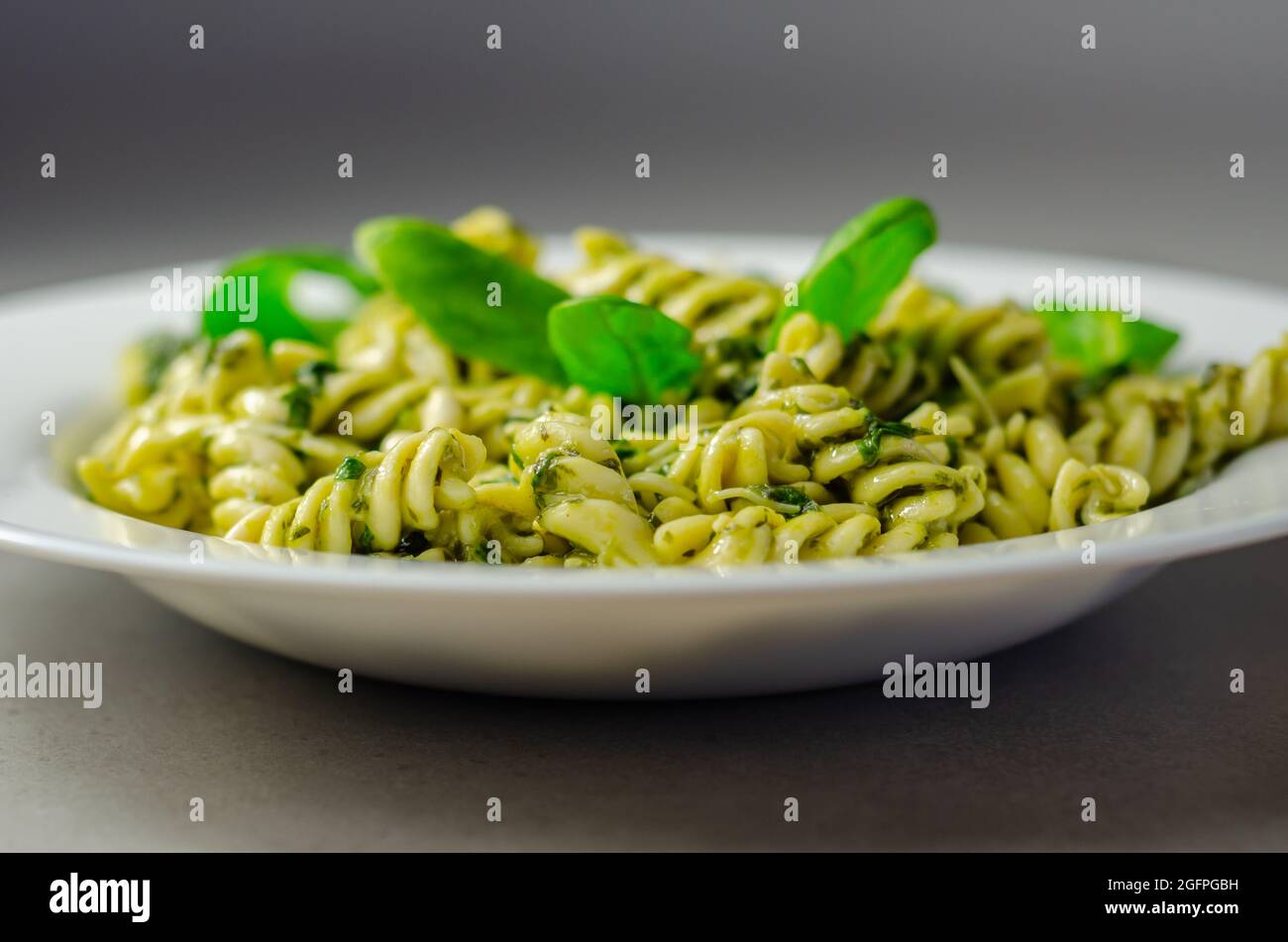 Pesto and pine nut pasta salad, fusilli pasta with regato cheese and ...