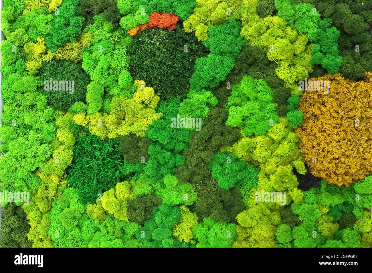 Moss wall interior design hi-res stock photography and images - Alamy