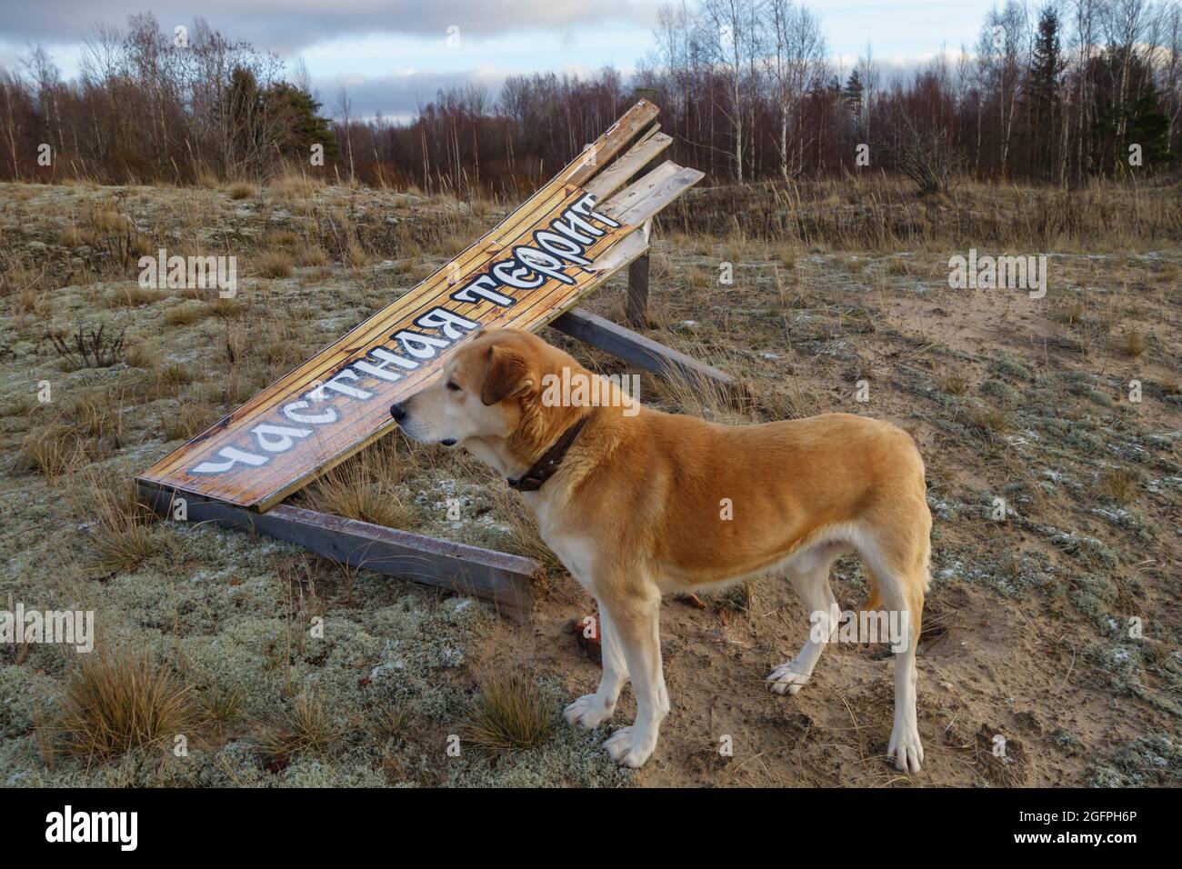 Broken access hi-res stock photography and images - Alamy