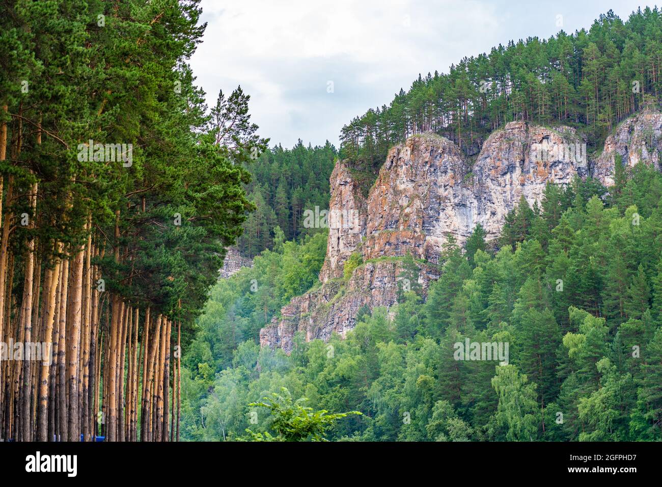 The beautiful nature of the South Urals. Tall pines and rocks of Russia ...