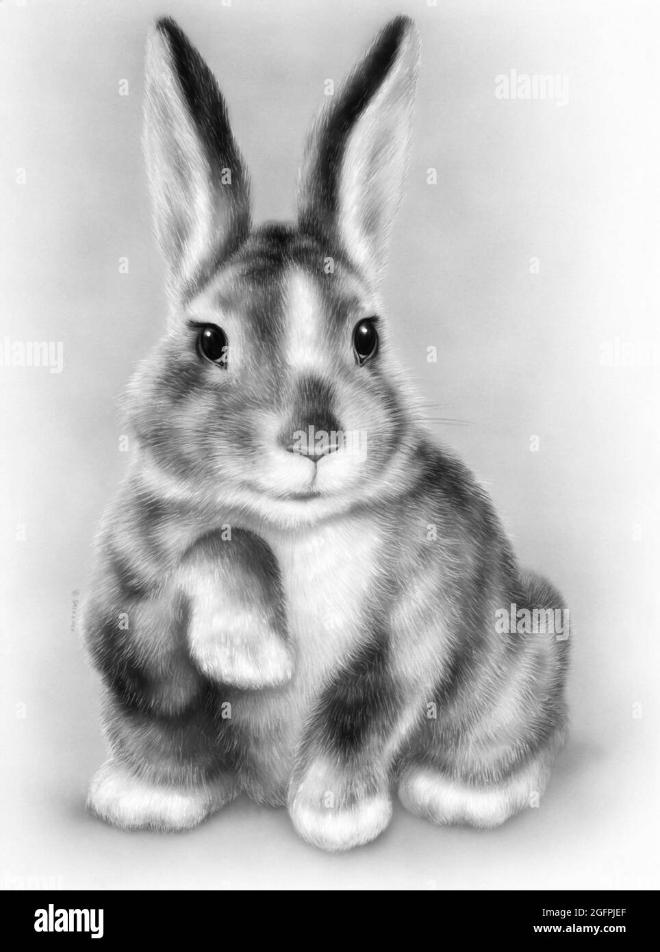 Picture rabbit illustration Black and White Stock Photos & Images - Alamy