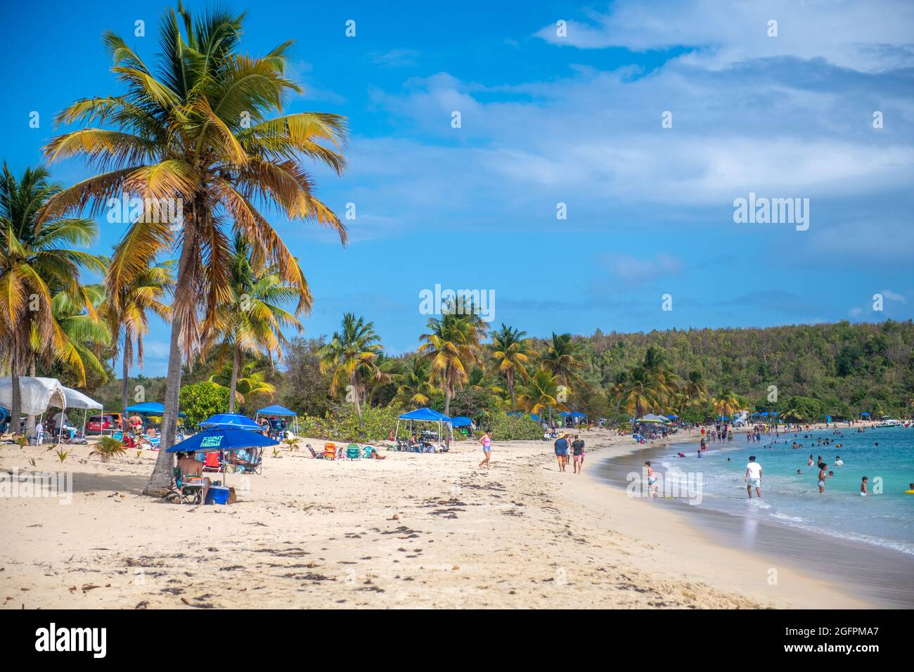 People enjoying a sunny day at the beach - Puerto Rico Stock Photo - Alamy