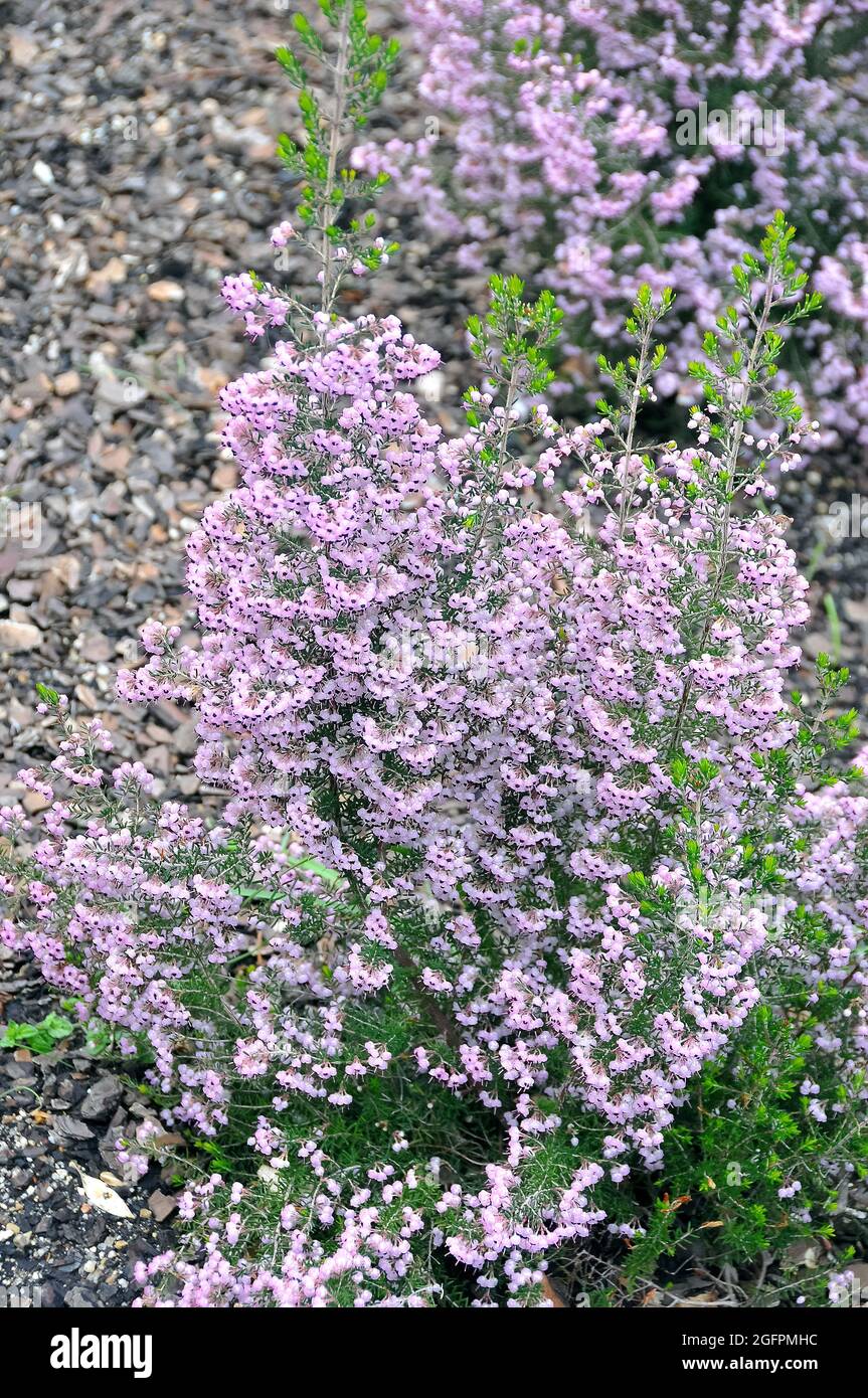 Channelled hi-res stock photography and images - Alamy