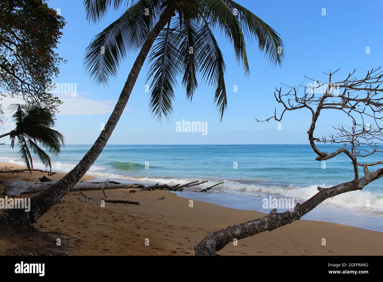 Bluff beach hi-res stock photography and images - Alamy