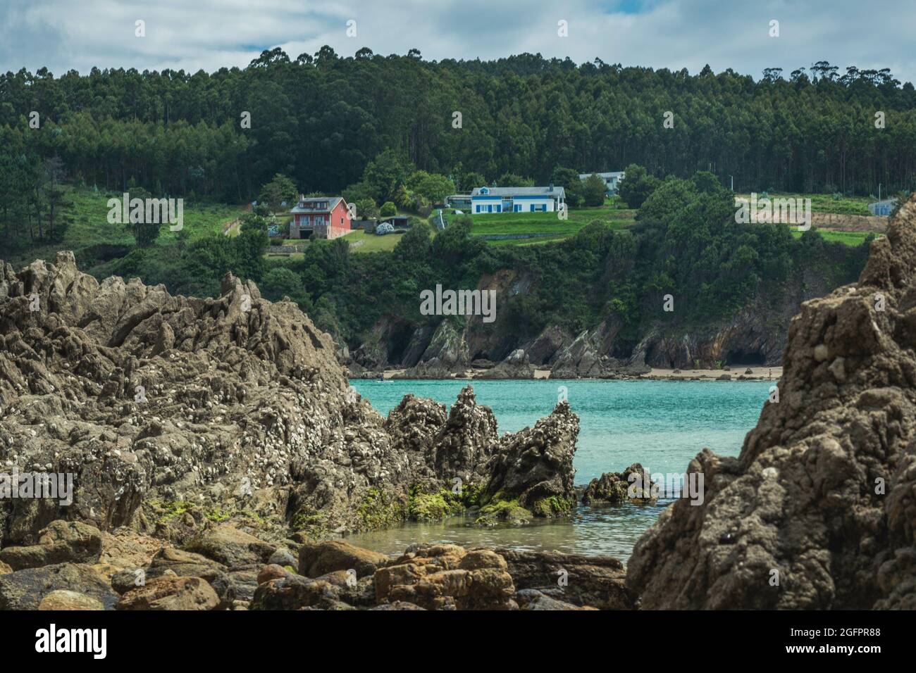 Shot of rocks and trees over the sea at Xilloi beach Stock Photo - Alamy