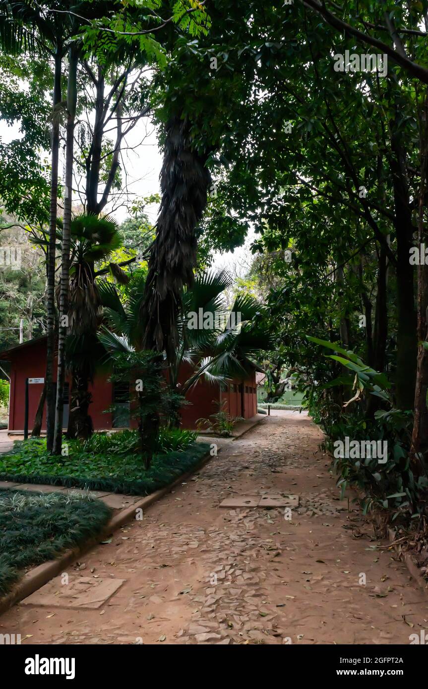 Partial view of the dense green vegetation forest garden of Minas ...